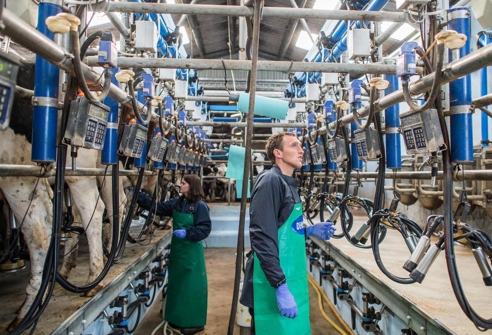 Effective Parlor Cleaning with Deosan™ CIP Products | Diversey