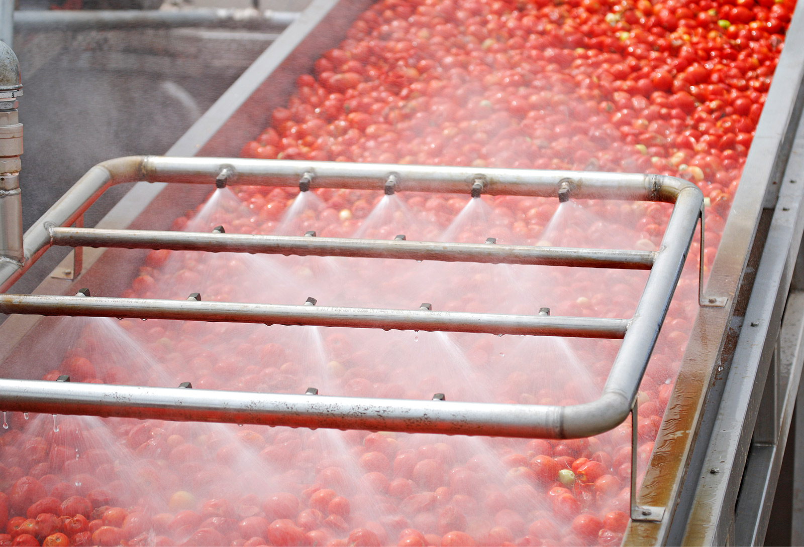 Direct Food Contact Solutions for Food Safety & Efficiency | Diversey