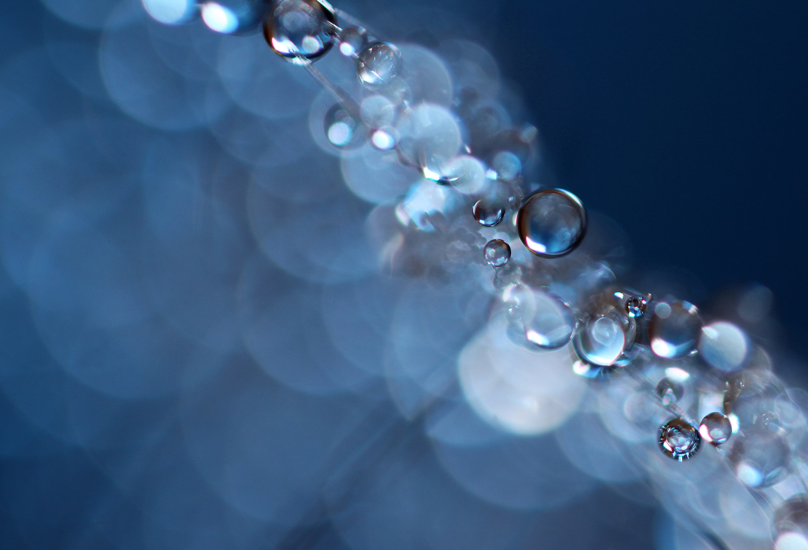 Divosan Dew: Water-saving Non-rinse Biocide Solution | Diversey