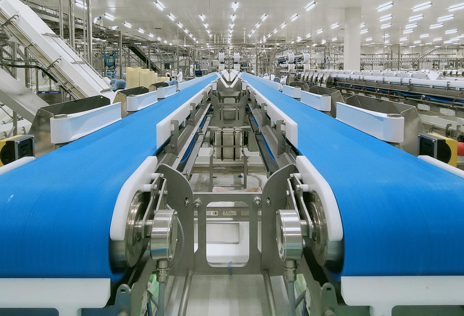 Comprehensive Food & Beverage Processing Solutions