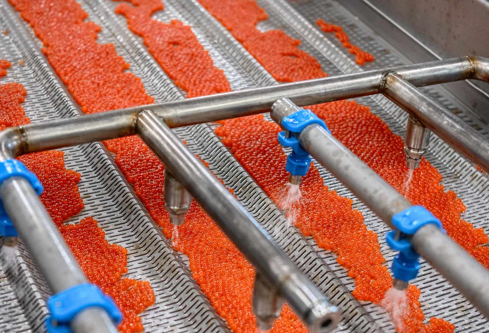 Enhance Food Safety with Diversey Processing Aids | Diversey